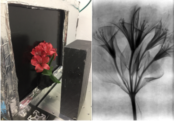 Neutron Imaging - Radiation Monitoring Devices